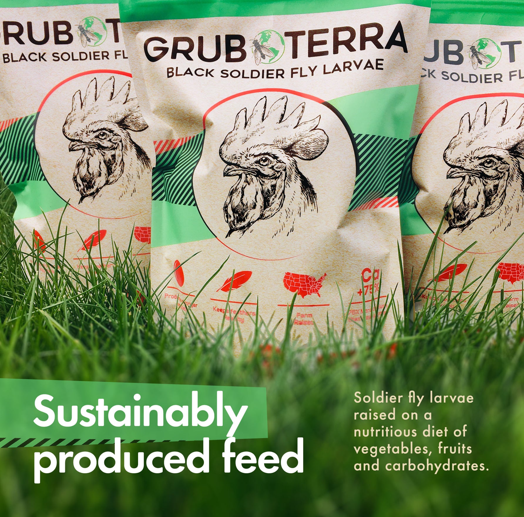 High-Quality Black Soldier Fly Larvae Pet Food by GrubTerra
